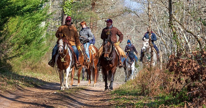 CONCOURS SPECTACLES EQUESTRE AMATEUR EQUISHOW18 16/06/2024